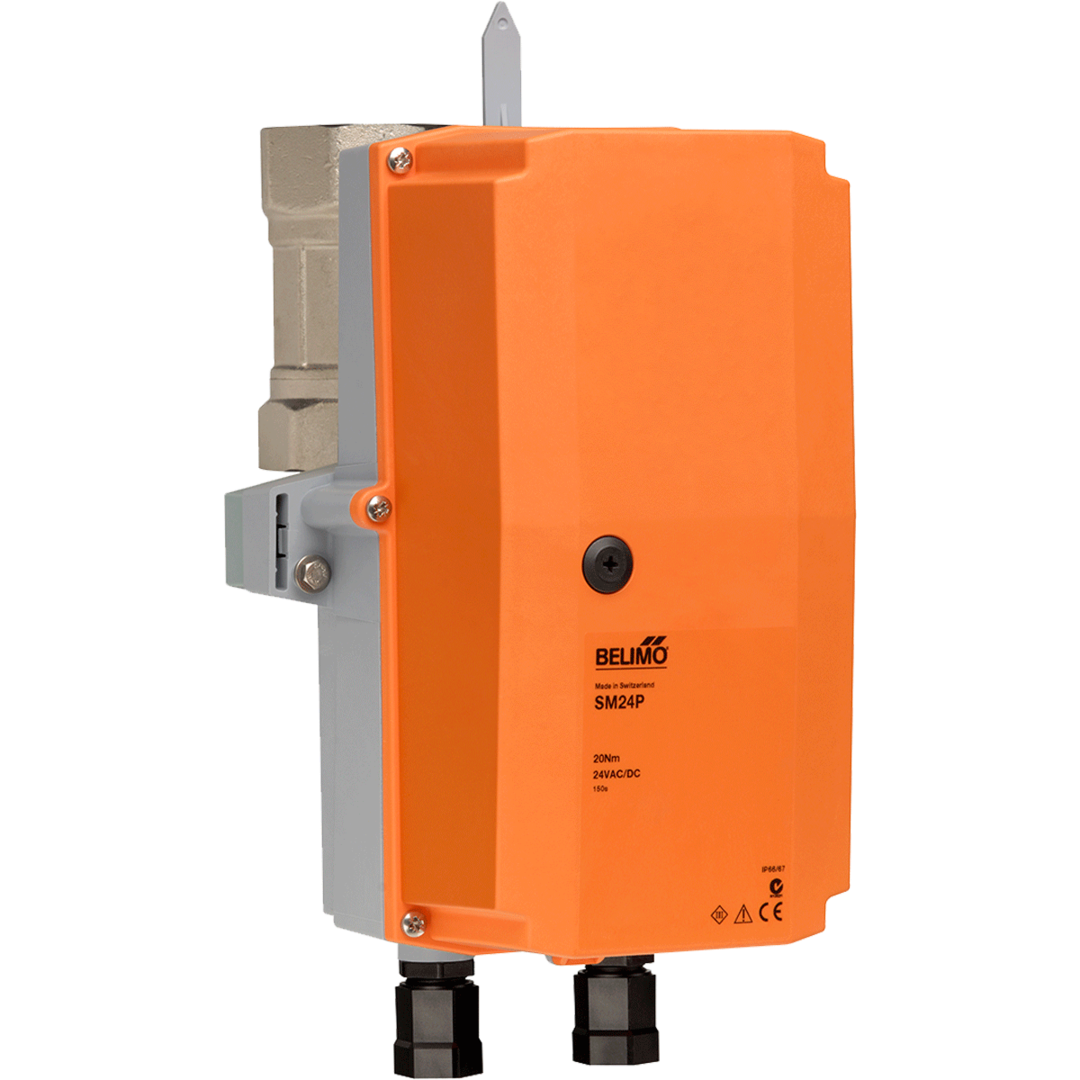 Belimo B251+AFRX24-MFT N4 | Characterized Control Valves | EnergyControl.com